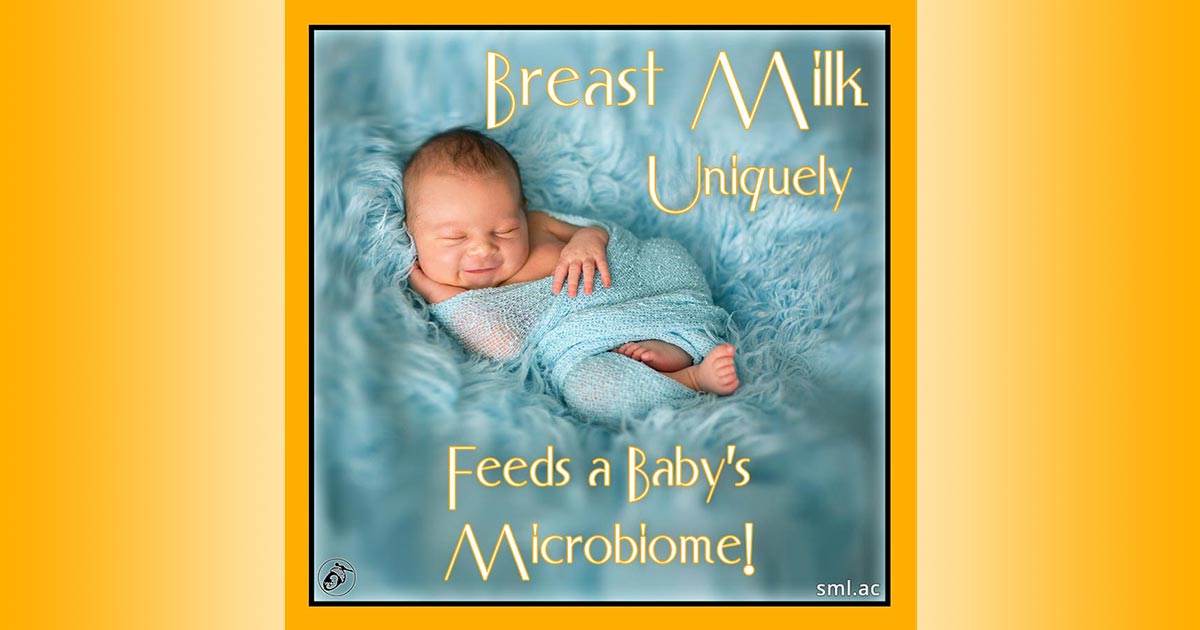 Breast Milk Uniquely Feeds a Baby's Microbiome! | Small Acorn