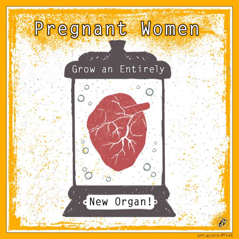 Pregnant Women Grow an Entirely New Organ! | Small Acorn